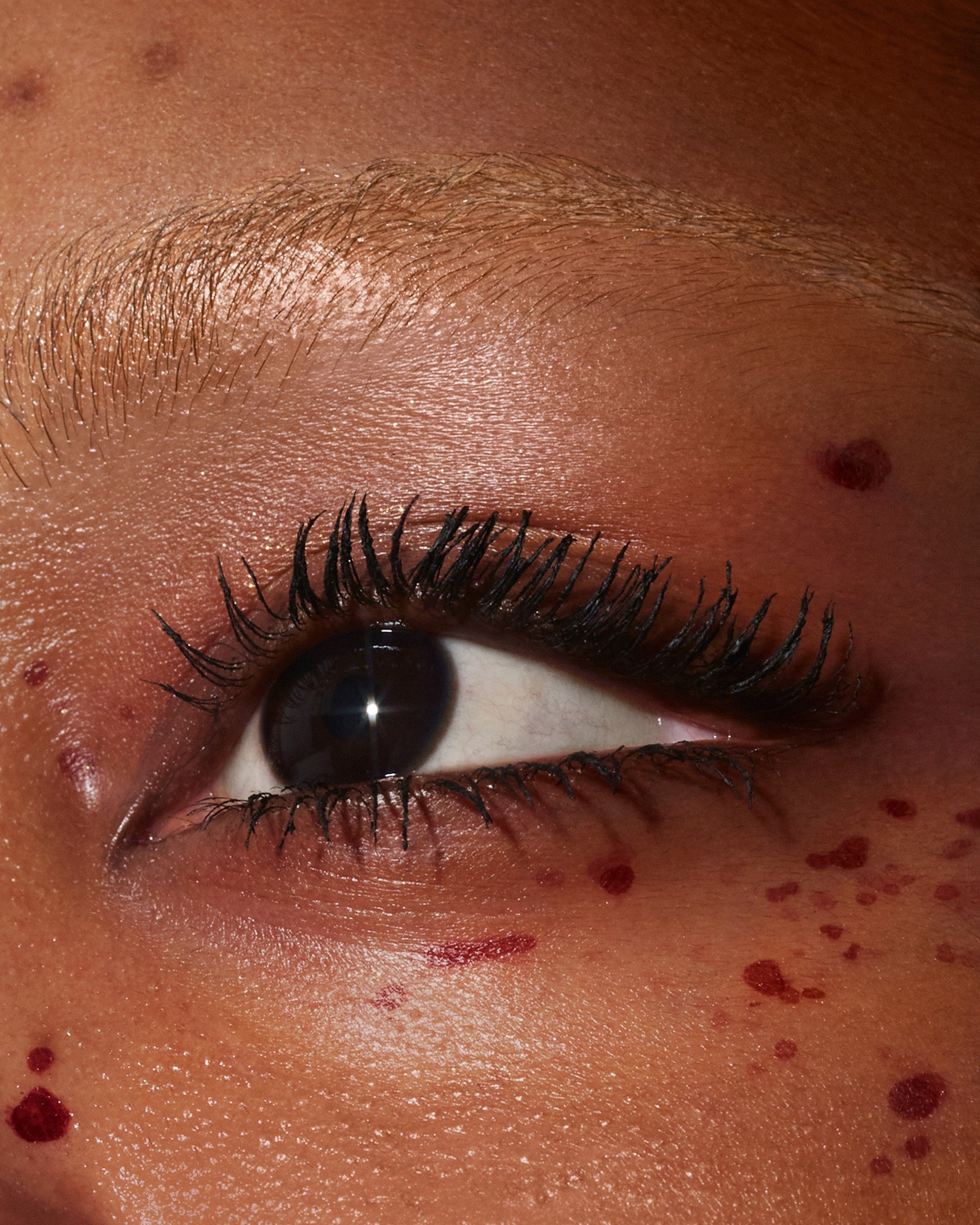 Lash Lasso – Isamaya